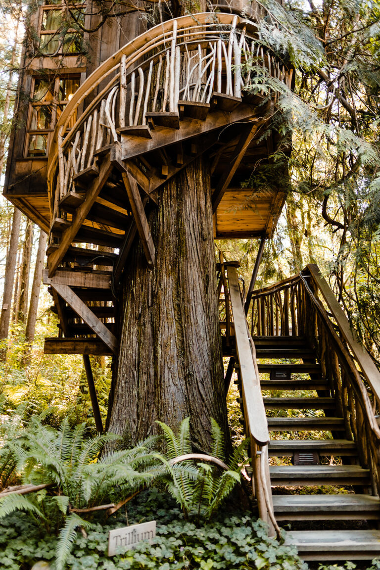 The Best Forest Wedding Venues in Washington